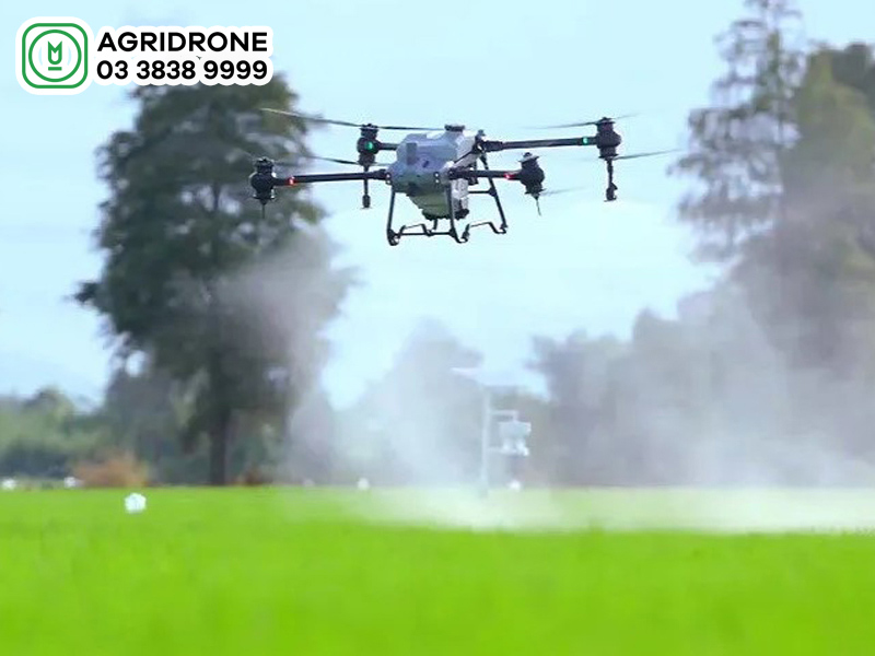 AgriDrone review máy bay phun thuốc DJI T50 | ECCI
